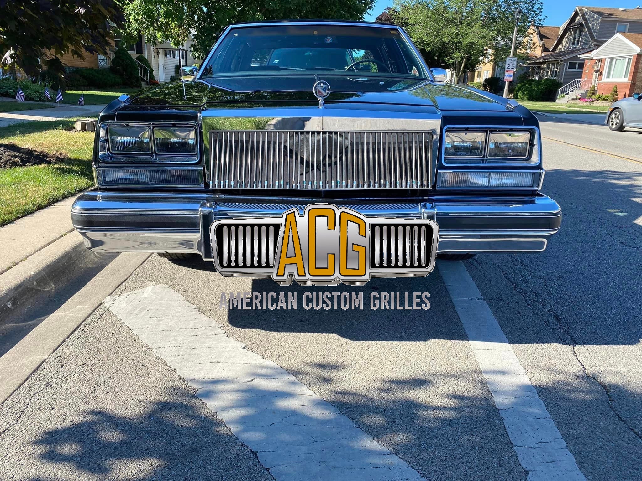 1977 - 1984 Buick Electra / Park Avenue Vertical GIANT SPOKE Grille ...