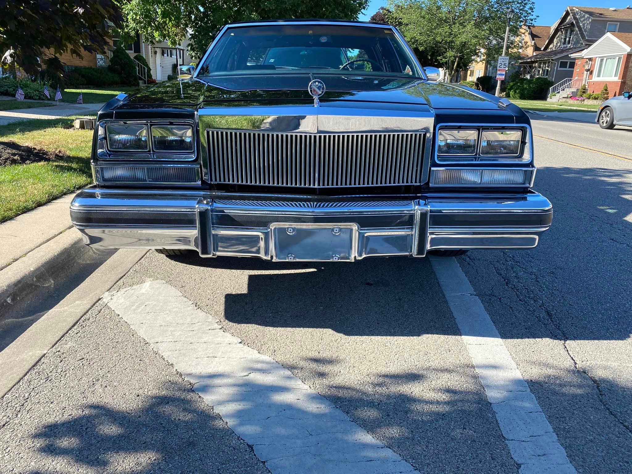 1977 - 1984 Buick Electra / Park Avenue "Old School" Vertical Castle ...