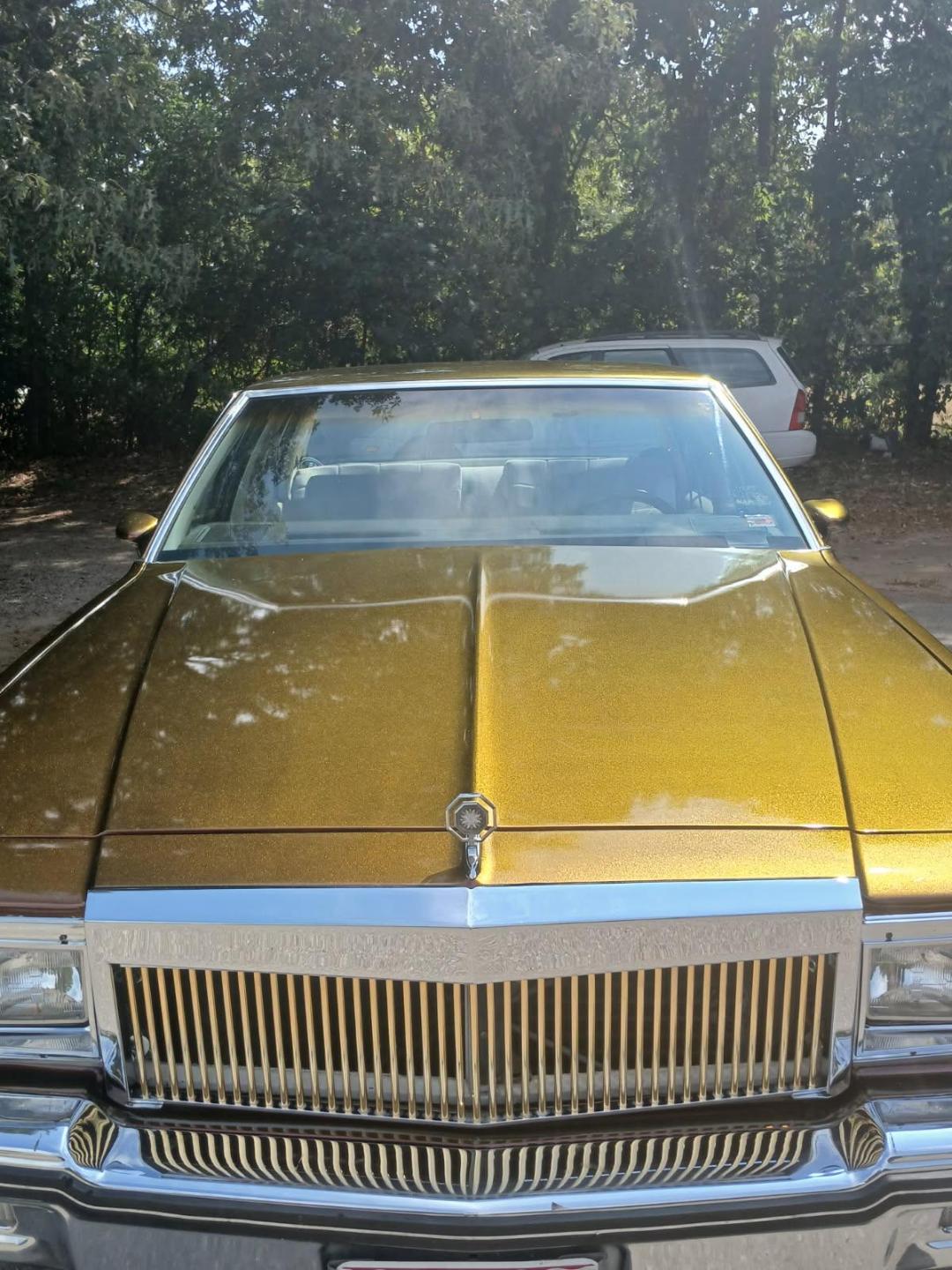 1977 - 1986 Pontiac Parisienne Vertical Castle Grille (12 to 16 weeks ...