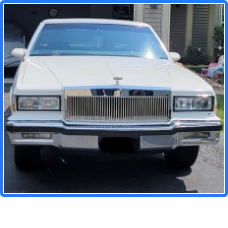 1977 - 1986 Pontiac Parisienne Vertical Castle Grille (12 to 16 weeks ...